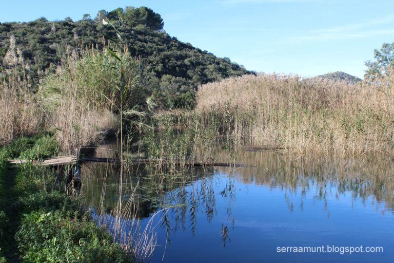 Ruta familiar en la Marjal de Pego-Oliva, un oasis de biodiversidad ... Ruta familiar en la Marjal de Pego-Oliva, un oasis de biodiversidad ...