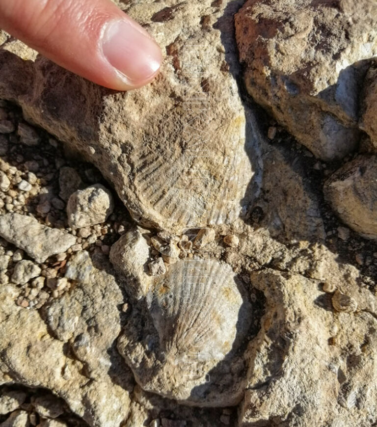 La Penya de Migjorn desde Xixona, por el PR-CV 212 - LinkAlicante